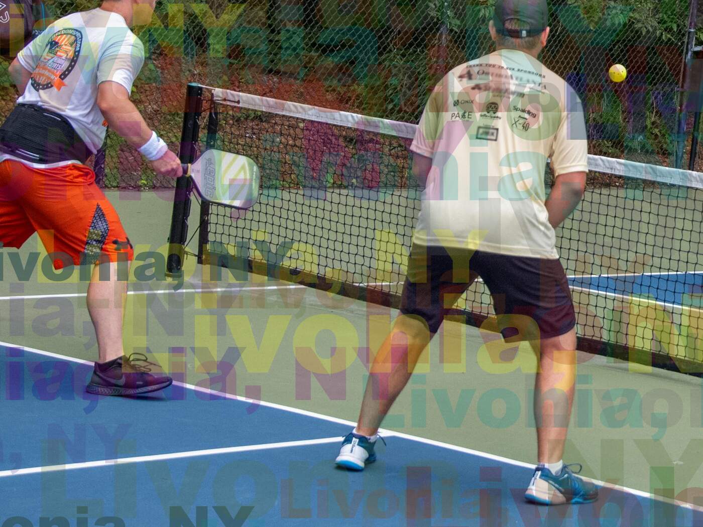Livonia Pickleball - Where to Play & Learn